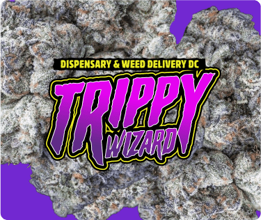 About Us | Trippy Wizard Weed Delivery DC